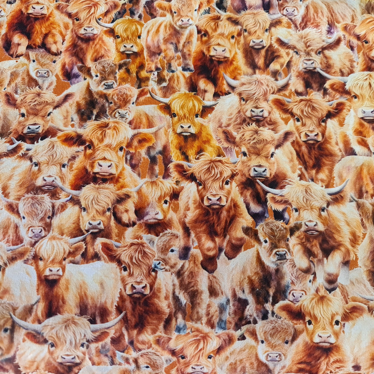 Coops Farm - Highland Cows DV6785 – Whispers of the Valley Fabric
