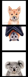 Dingo Bat Koala - Panel - Colour - NATALIE JANE PARKER COLLECTION ...